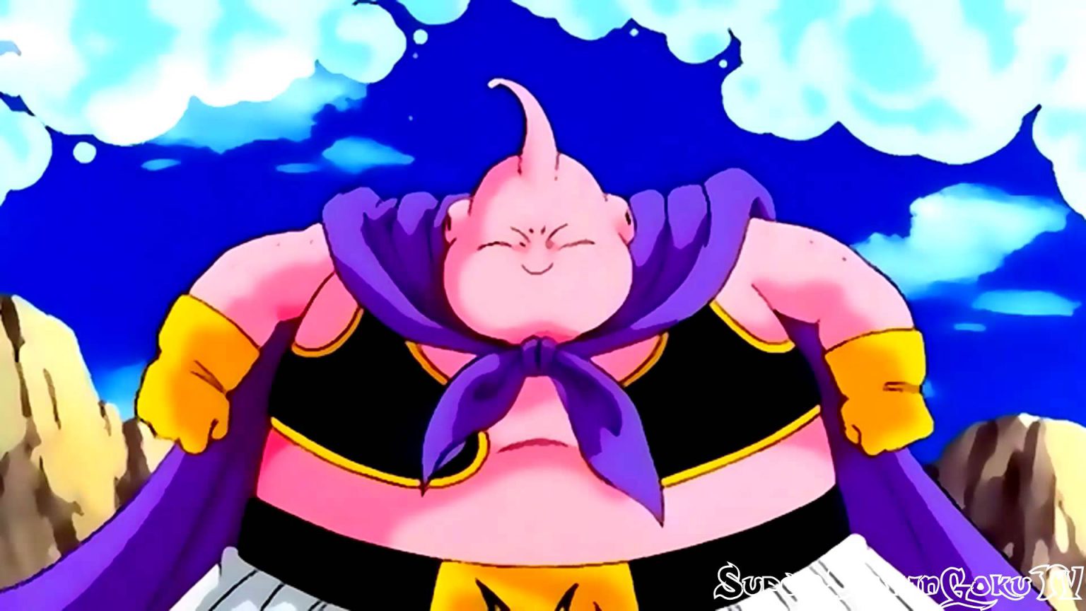 Some Things You May Not Know About Majin Buu (Update 2024)
